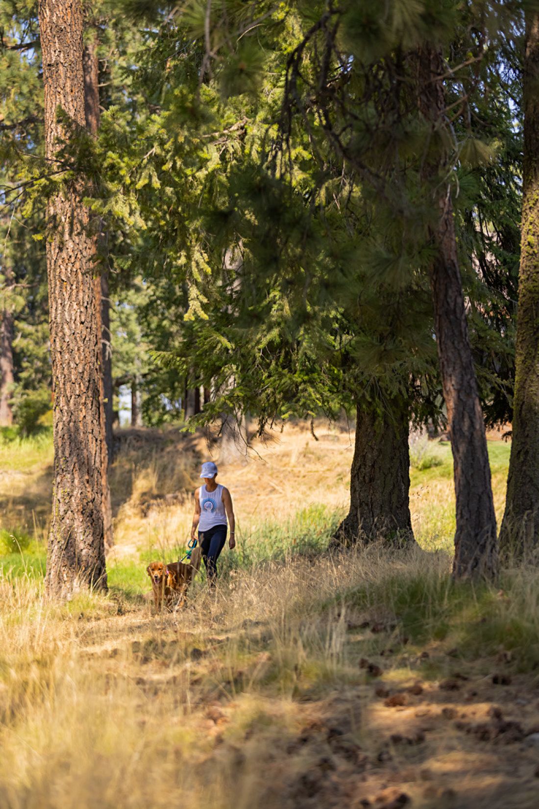 About | Gozzer Ranch Golf & Lake Club